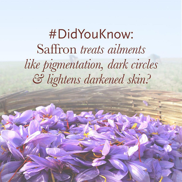 8 Secret Benefits Of Saffron For Skin & How To Use It? - Kama Ayurveda