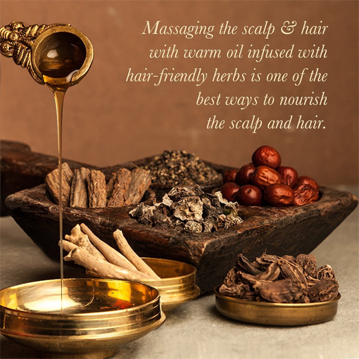 How To Apply Oil To Hair? - Your Guide To Hair Oiling - Kama Ayurveda