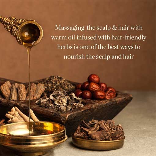 16 Best Split Ends Treatments - Home Remedies & Expert Tips - Kama Ayurveda