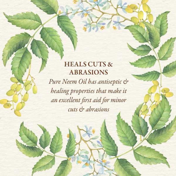 15 Incredible Benefits Of Neem Oil For Face and Skin - Kama Ayurveda