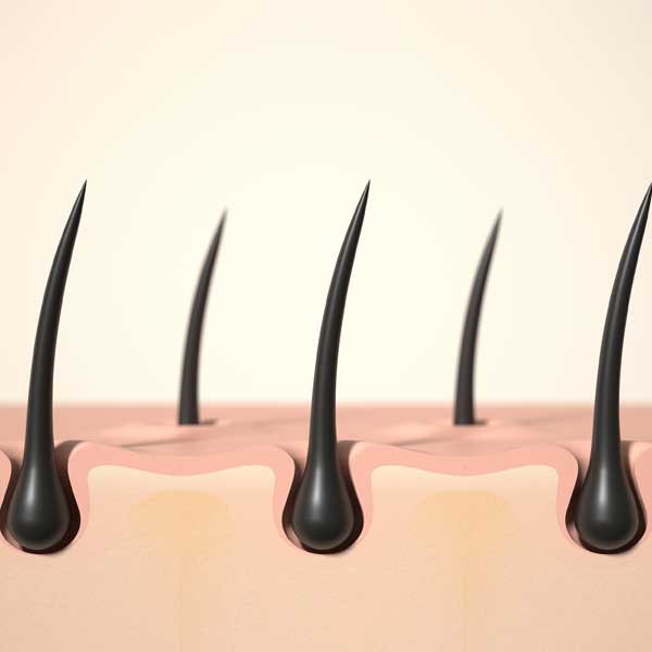 How To Make Hair Roots Strong Naturally? 20 Best Methods - Kama Ayurveda